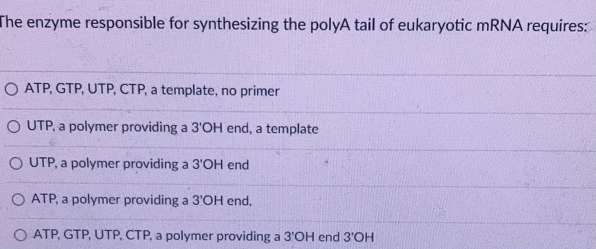 Solved The enzyme responsible for synthesizing the polyA | Chegg.com
