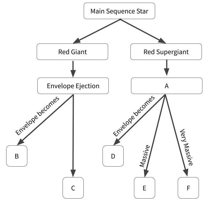 Solved Stellar Evolution Flowchart Choose the correct | Chegg.com