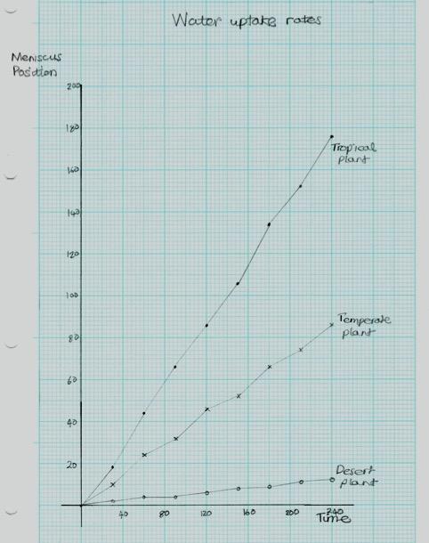 Solved Identify the errors in the graph: Straight line | Chegg.com