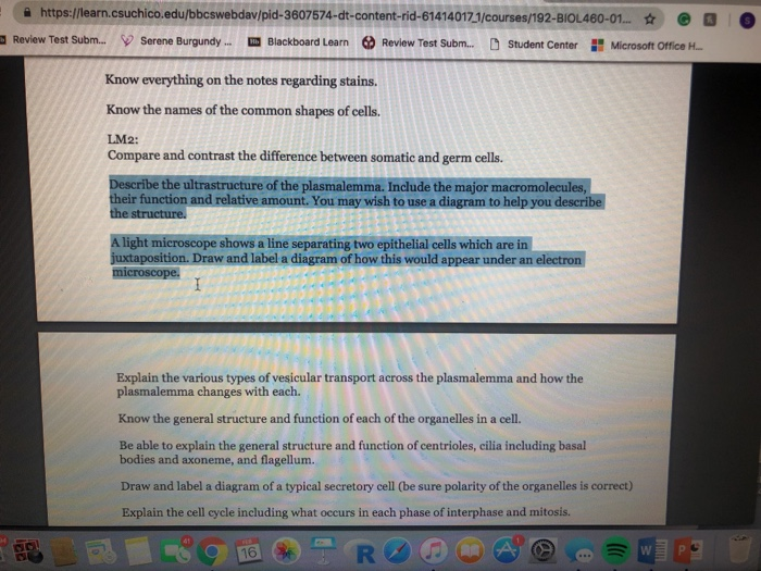 a https:learn.csuchico.edu/bbcswebdav/pid- | Chegg.com