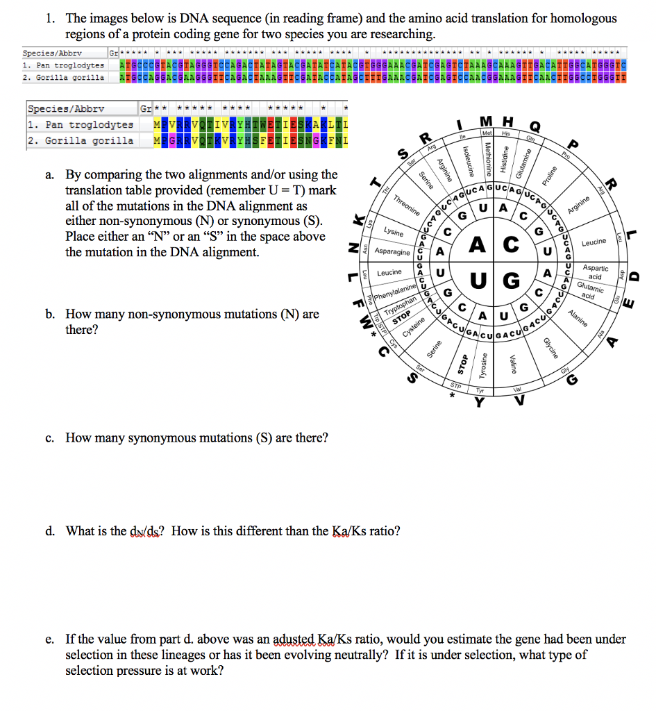 Solved 1. The images below is DNA sequence (in reading | Chegg.com