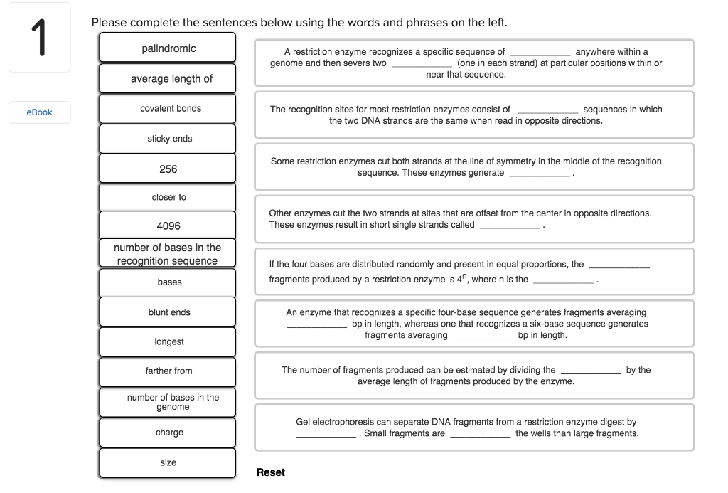 Solved Please complete the sentences below using the words | Chegg.com