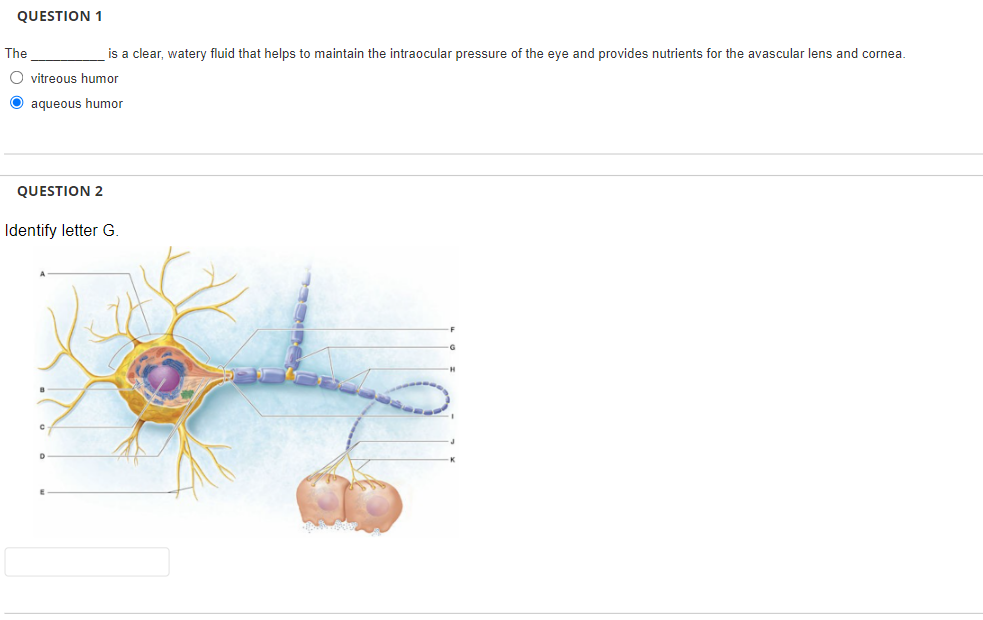Solved The is a clear, watery fluid that helps to maintain | Chegg.com