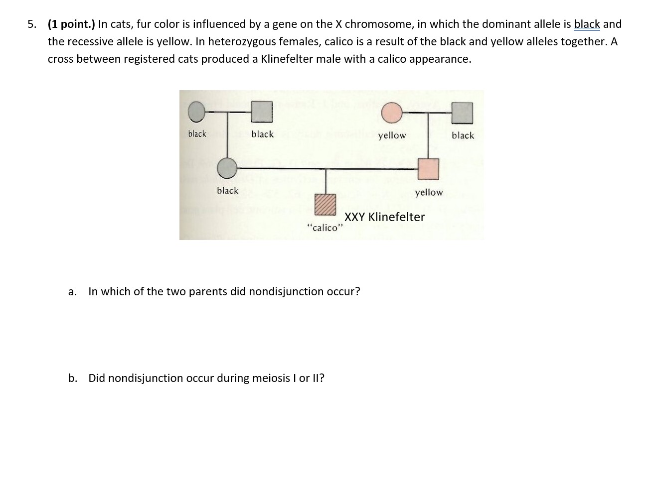 Solved 5. (1 point.) In cats, fur color is influenced by a | Chegg.com