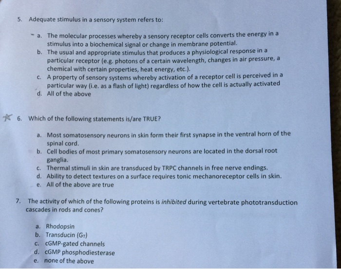 Solved Adequate stimulus in a sensory system refers to: The | Chegg.com