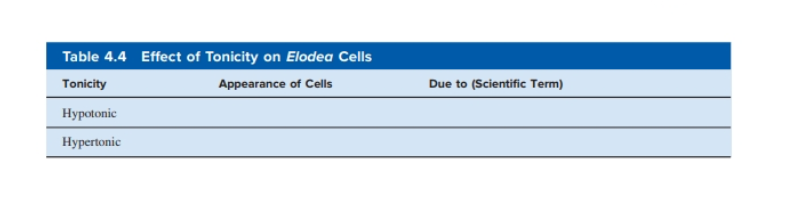 Solved Due to (Scientific Term) Table 4.4 Effect of Tonicity | Chegg.com