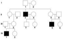 Solved GENETICS LABORATORY 02-28-23 HUMAN PEDIGREE | Chegg.com