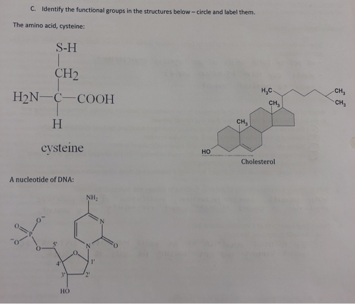 Solved C. Identify the functional groups in the structures | Chegg.com
