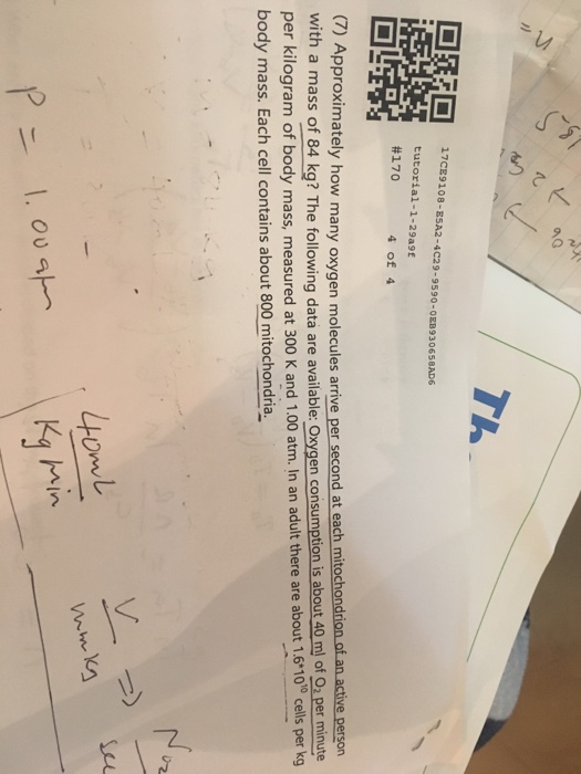 Solved 170E9108-E5A2-4C29-9590-ogB930658ADS tutorial-1-29a9f | Chegg.com