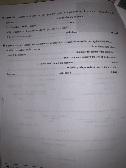Solved Exercise 16-3 Time to Trace! Negative Feedback Loops | Chegg.com