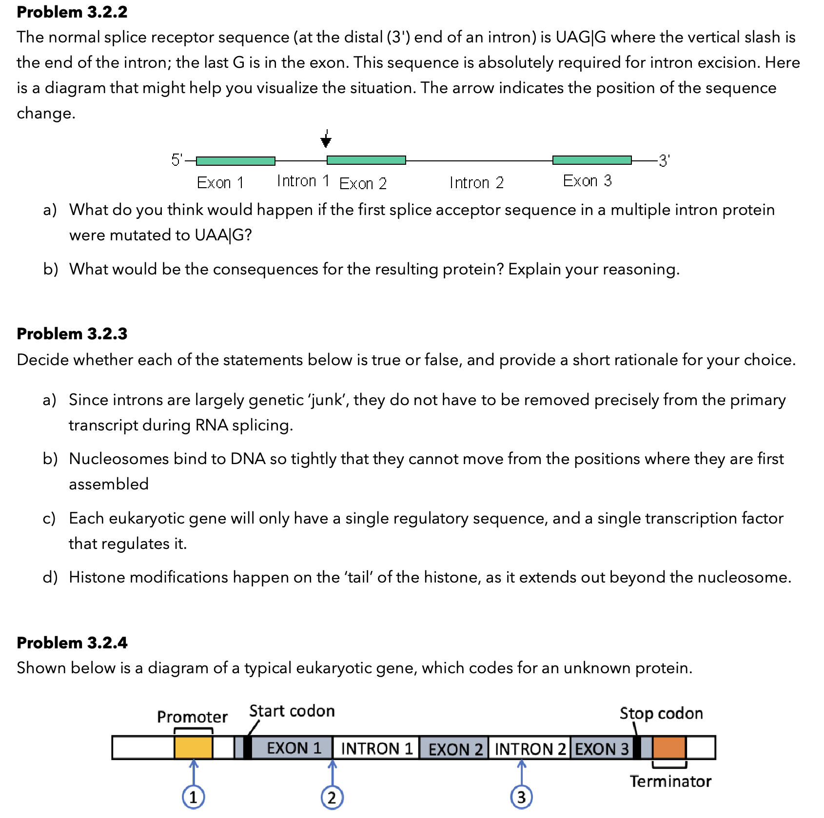 Solved The normal splice receptor sequence (at the distal ( | Chegg.com