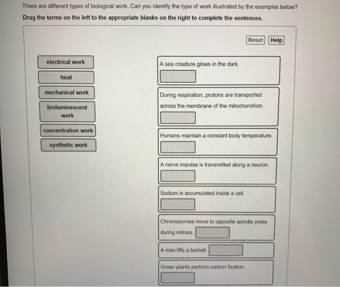 Solved There are different types of biological work. Can you | Chegg.com