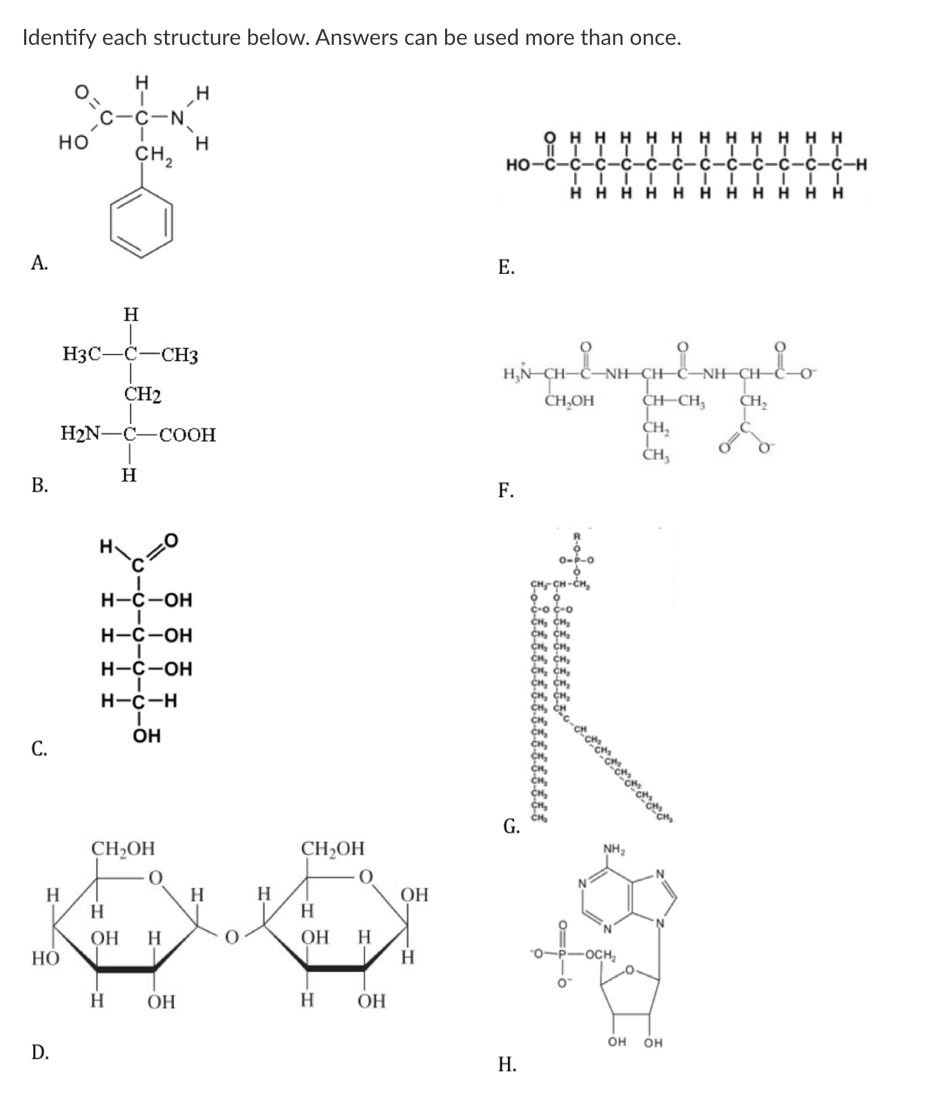 Solved Identify each structure below using the following | Chegg.com