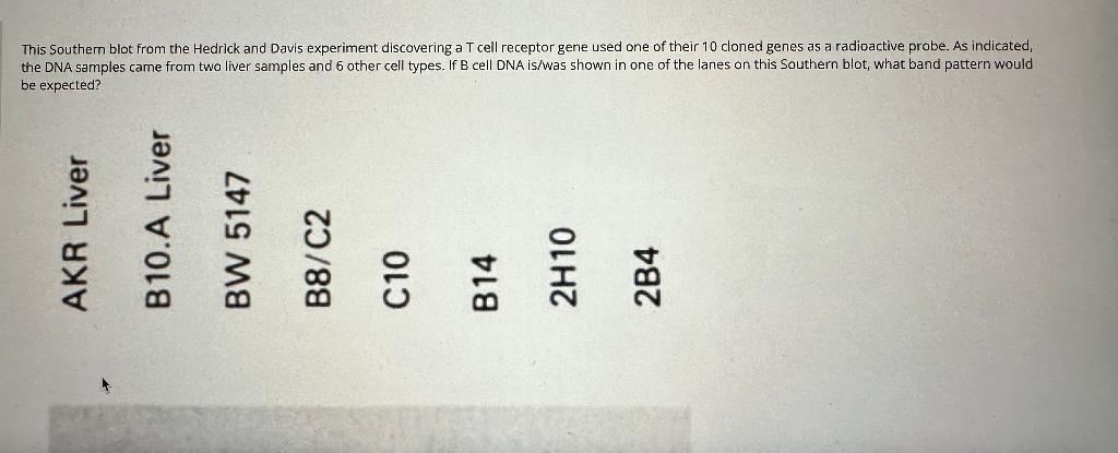 This Southem blot from the Hedrick and Davis | Chegg.com