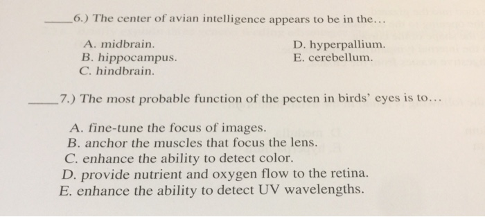 Solved 6.) The center of avian intelligence appears to be in | Chegg.com
