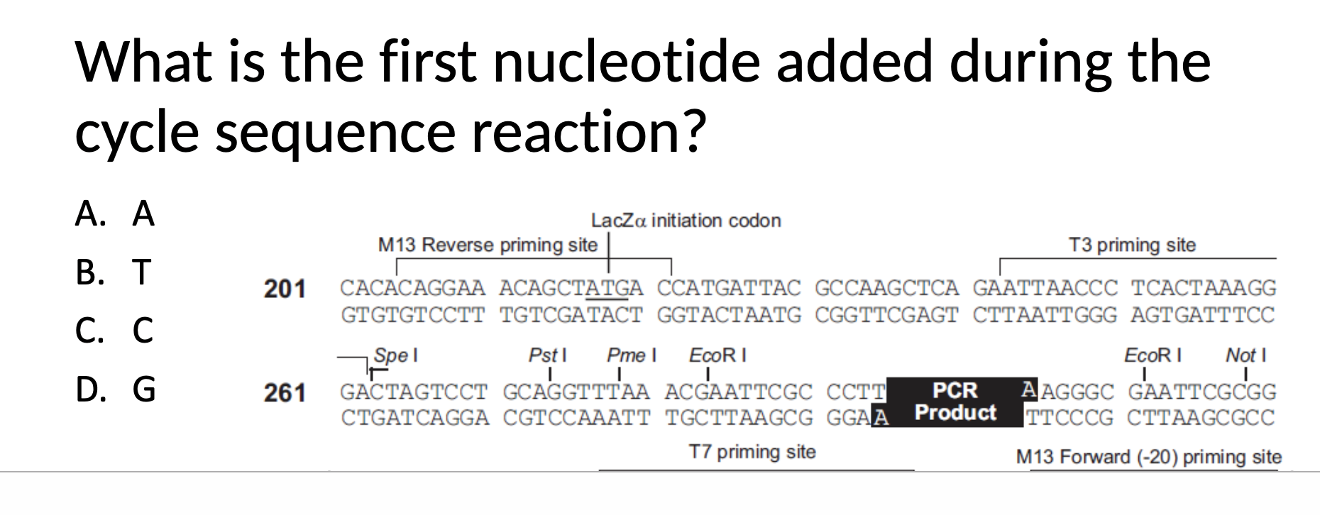 Solved What is the first nucleotide added during the cycle | Chegg.com