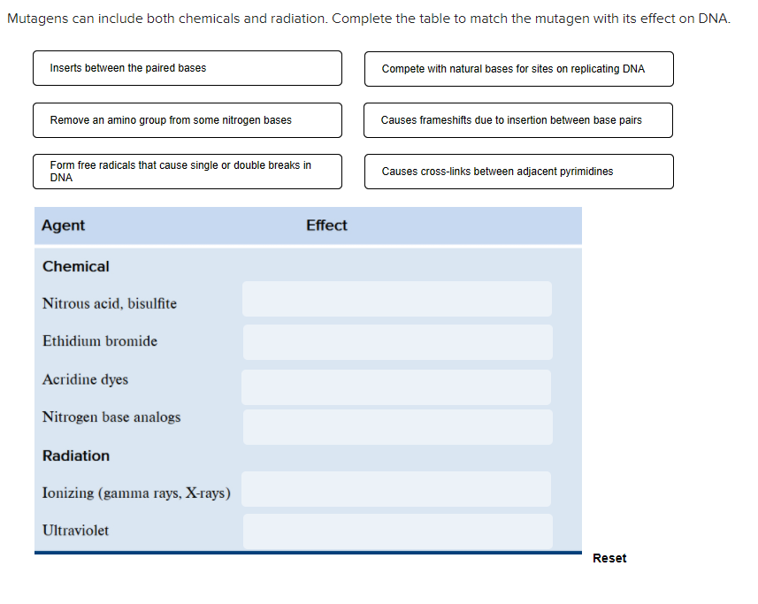 Solved Mutagens can include both chemicals and radiation. | Chegg.com