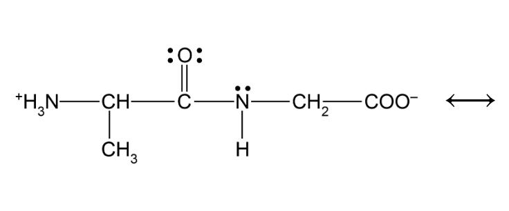 Solved . Shown is one resonance structure of the dipeptide | Chegg.com