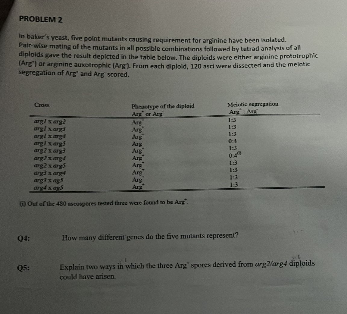 Solved PROBLEM 2In baker's yeast, five point mutants causing | Chegg.com