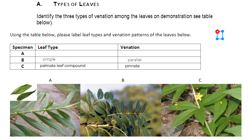 Solved I already put some answers down but im unsure so if | Chegg.com