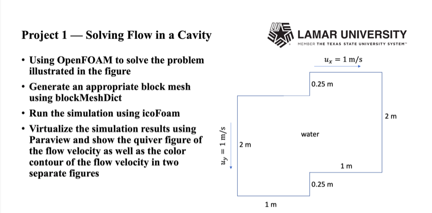Project 1 — Solving Flow in a Cavity LAMAR UNIVERSITY | Chegg.com