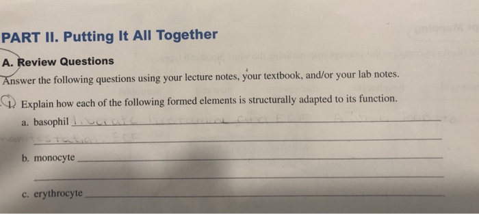 Solved PART II. Putting It All Together A. Review Questions | Chegg.com Solved PART II. Putting It All Together A. Review Questions | Chegg.com