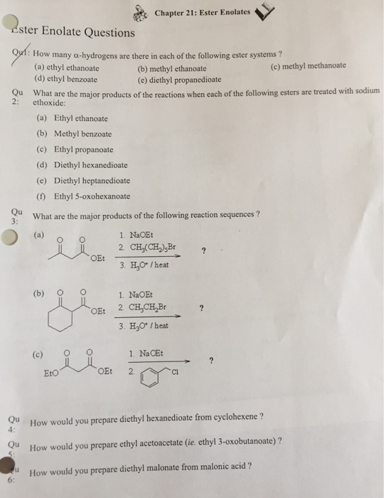Solved How many alpha-hydrogens are there in each of the | Chegg.com