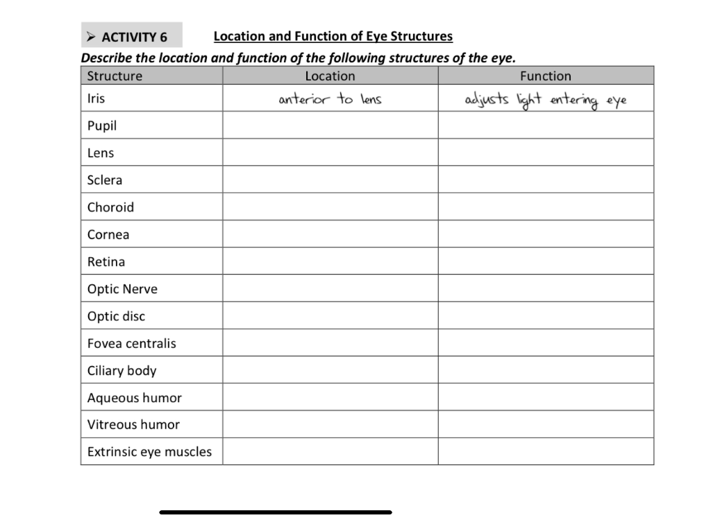 Solved ACTIVITY 6 Location and Function of Eye Structures | Chegg.com