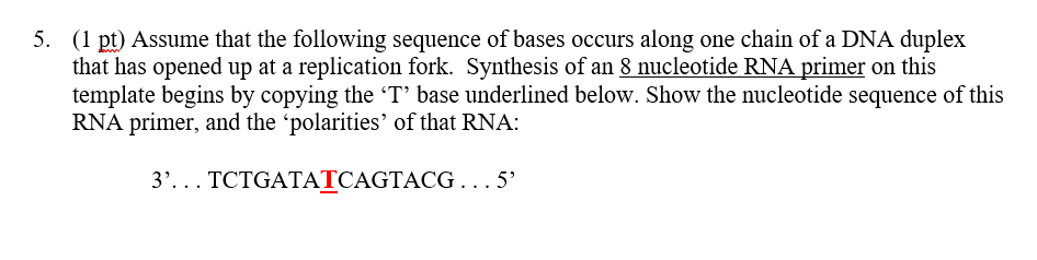 5. (1 pt) Assume that the following sequence of bases | Chegg.com