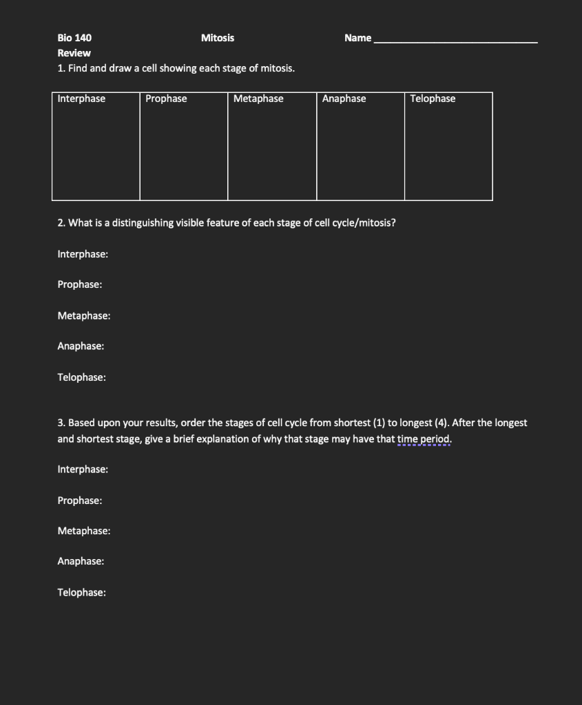 Solved Identifying stages of the cell cycle. The life | Chegg.com