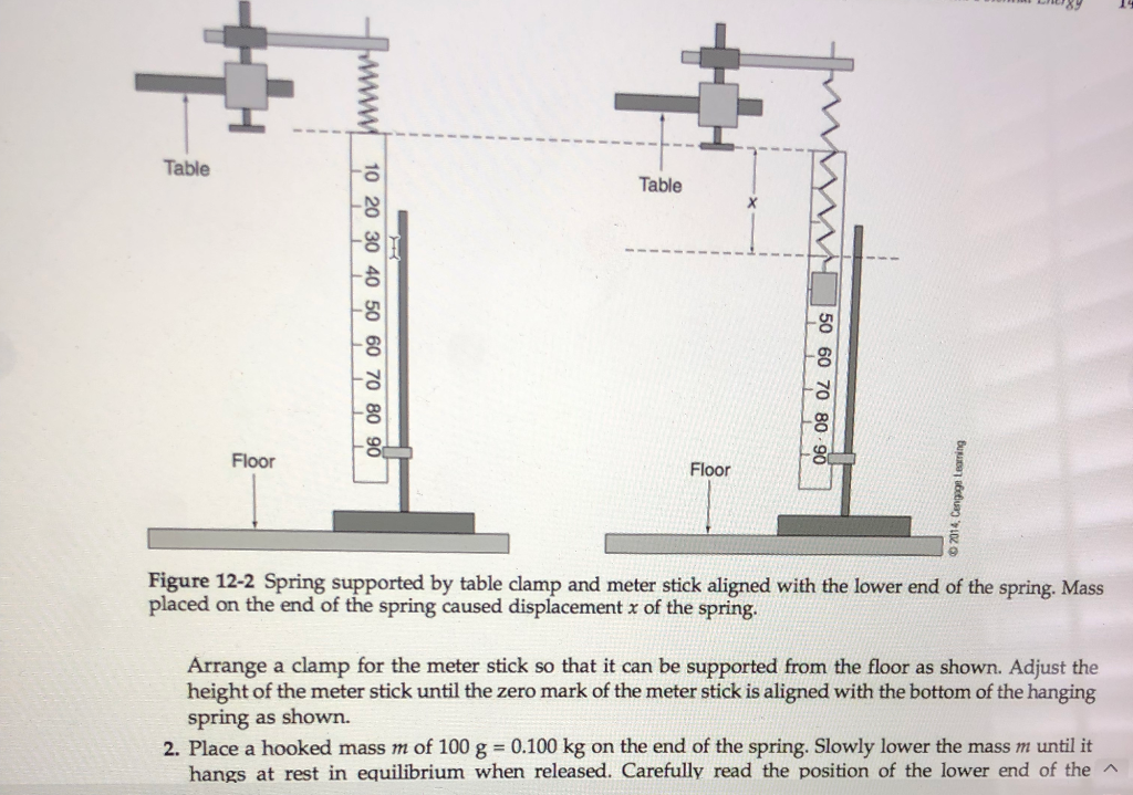 Questions Lab # 12-Conservation of Spring and | Chegg.com