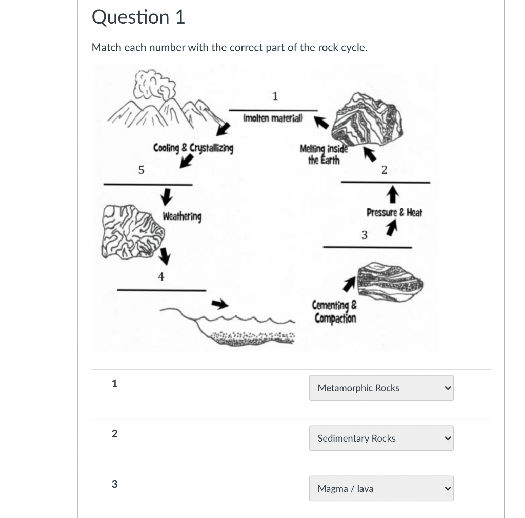 Solved Question 1 Match each number with the correct part of | Chegg.com