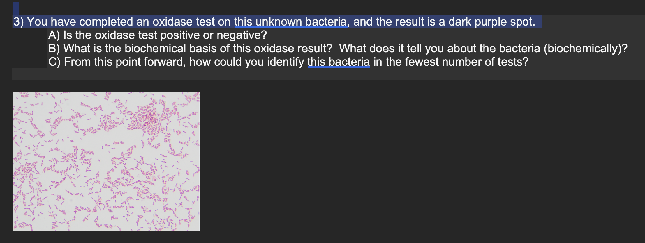 Solved 3) You have completed an oxidase test on this unknown | Chegg.com