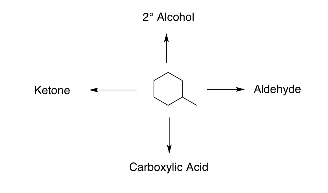 Solved 2° Alcohol Ketone Aldehyde Carboxylic Acid | Chegg.com