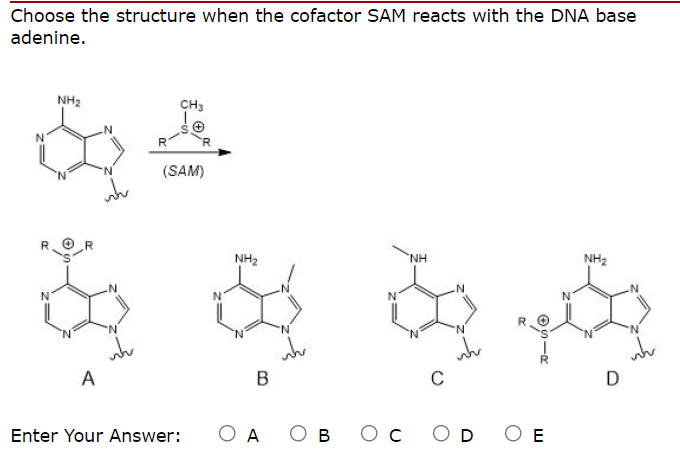 Solved Choose the structure when the cofactor SAM reacts | Chegg.com