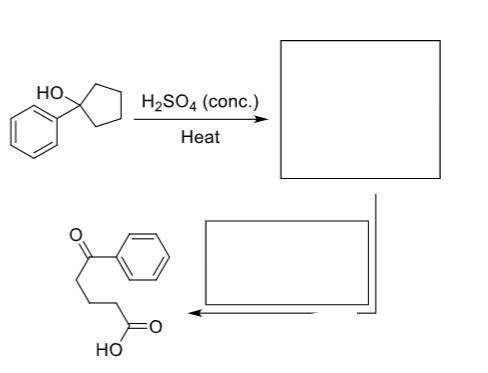 Solved Heat H2SO4 (conc.) | Chegg.com