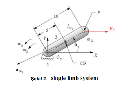 Solved The only limb shown in Figure 2; a) Draw the free | Chegg.com