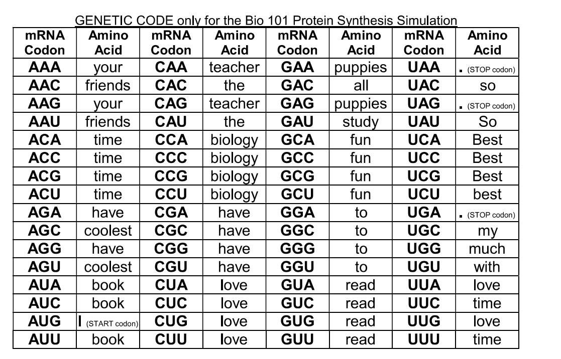 Solved DNA Sequence #22 a Coding DNA strand GAT GA GGT ATT | Chegg.com