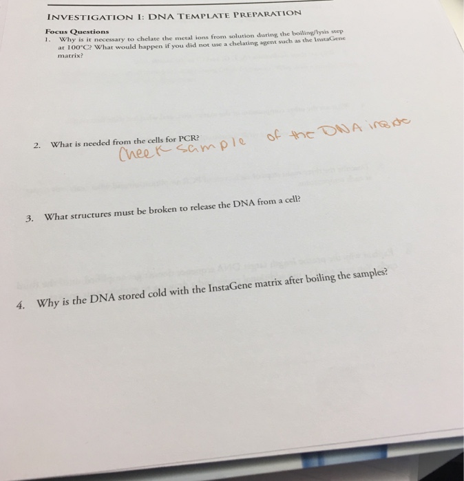 Solved INVESTIGATION I DNA TEMPLATE PREPARATION Focus | Chegg.com
