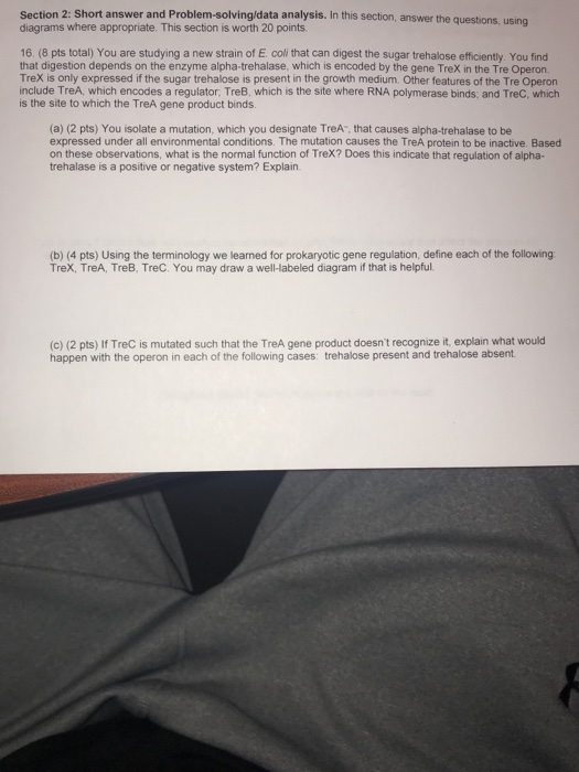 Solved Section 2 Short Answer And Problem solving data Chegg