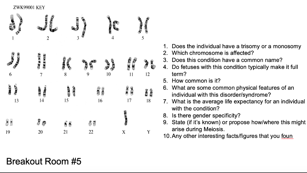 Solved ZWK99001 KEY 3) JL J) lc ) 6 9 10 11 12 6 1. Does the | Chegg.com