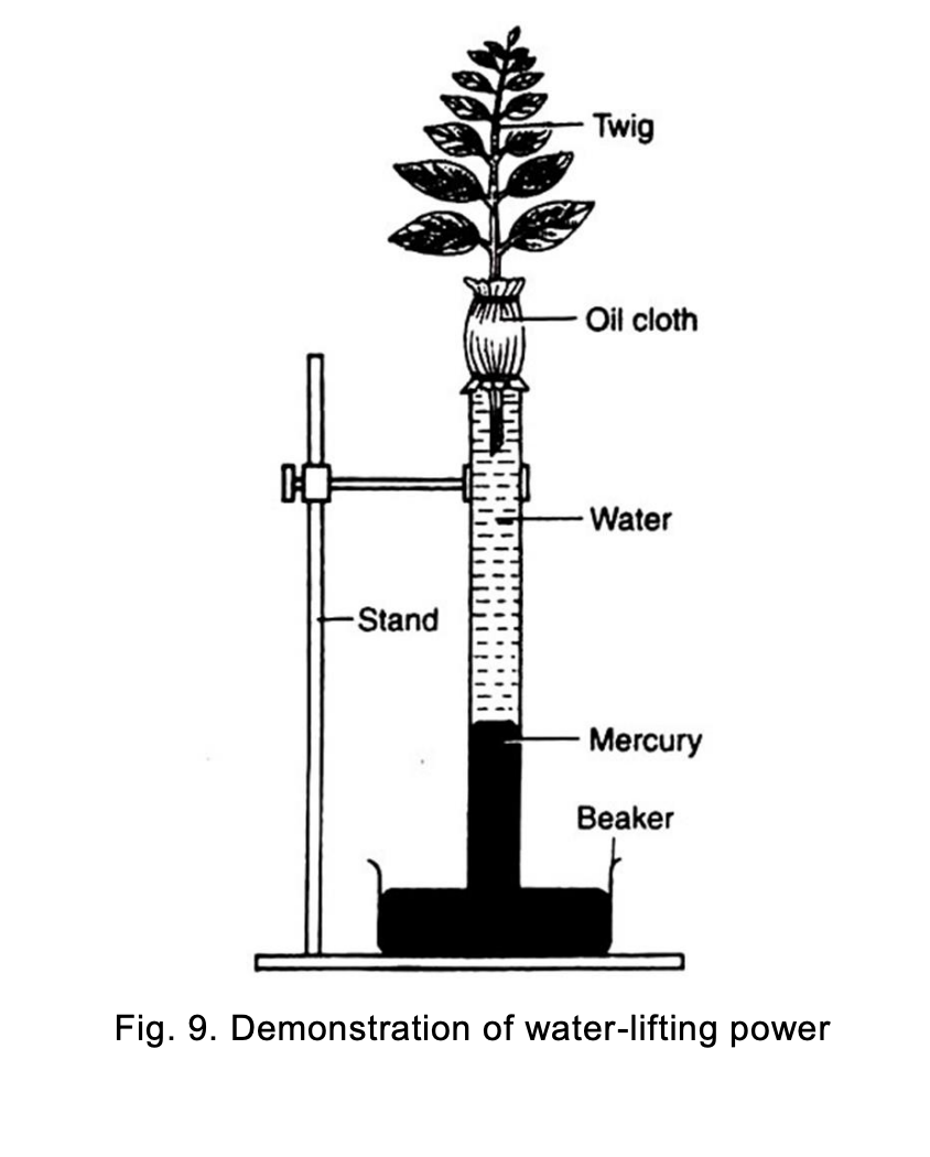 Solved Method: 1. Take some amount of mercury in the beaker | Chegg.com