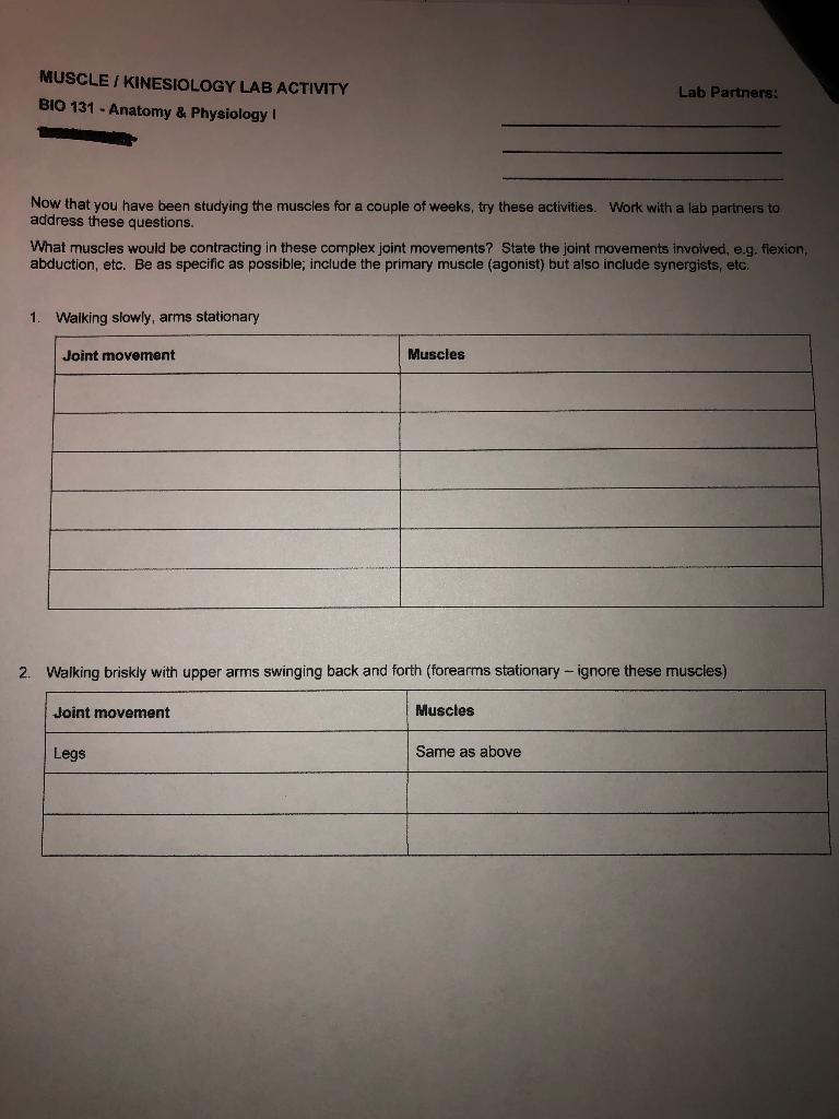 MUSCLE KINESIOLOGY LAB ACTIVITY BIO 131 - Anatomy & | Chegg.com