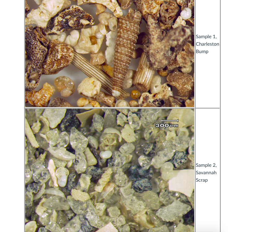 Terrigenous Sediment