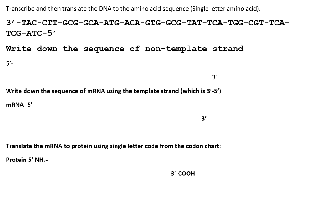 Solved Transcribe and then translate the DNA to the amino | Chegg.com