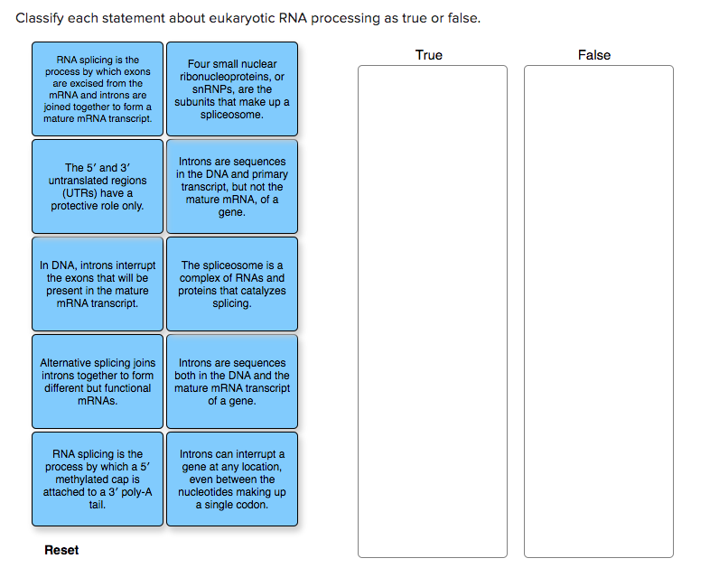Solved Classify each statement about eukaryotic RNA | Chegg.com