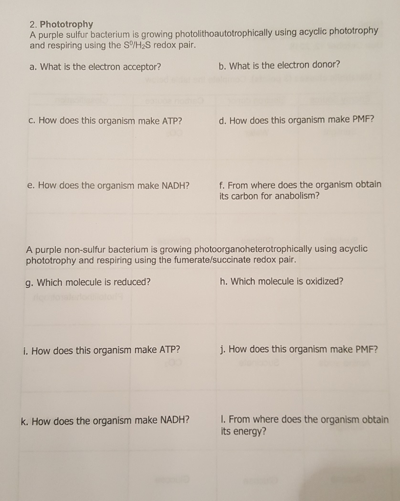 Solved Use the electron tower below as needed throughout the | Chegg.com