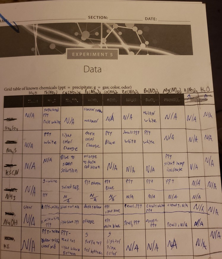 Solved SECTION: NAME: DATE EXPERIMENT S Post-Lab Grid | Chegg.com