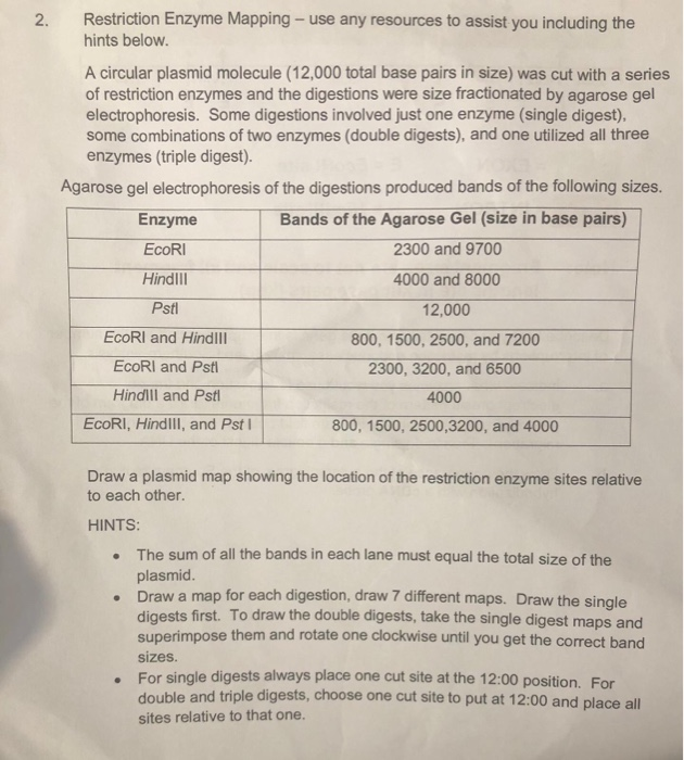 Restriction Enzyme Mapping- use any resources to | Chegg.com