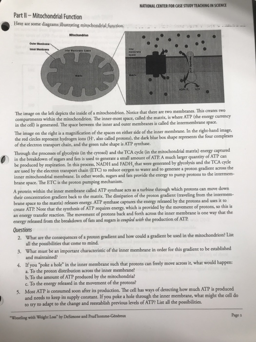 Solved NATIONAL CENTER FOR CASE STUDY TEACHING IN SCIENCE | Chegg.com